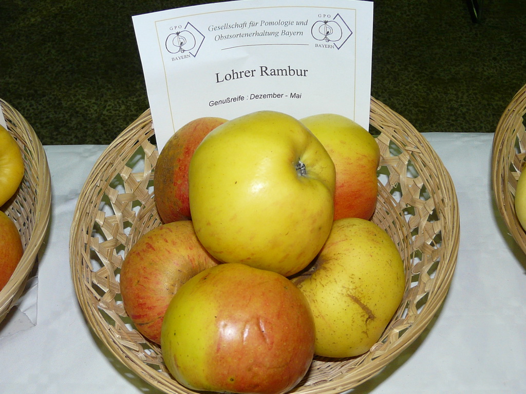 LESCRETS FRUITS ET POMOLOGIE LES POMMES THE APPLES - Lohrer Rambur
